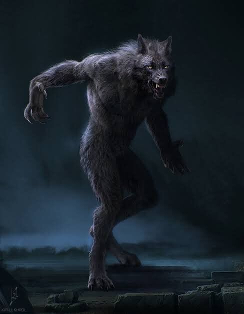 [WOW] มนุษย์หมาป่า (Werewolf) เป็นผีประเภทเดียวกับพวกแวมไพร์ และมี ...