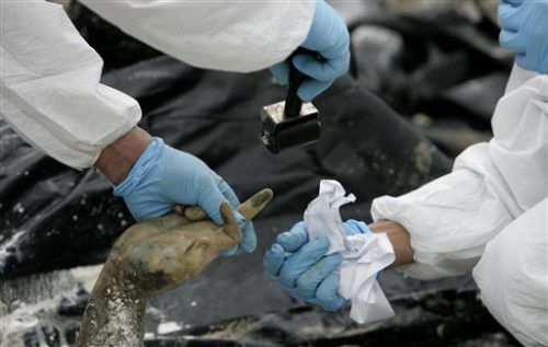 [คลังสุขภาพ] เพราะเหตุใด จึงไม่สามารถ “สแกนลายนิ้วมือคนตาย” บนมือถือได้ ...