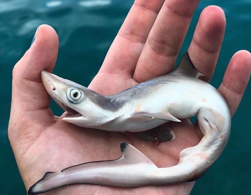 [Around The World] เม็กซิโก คืนวันเสาร์ เอาเรื่องราวน่าสนใจรอบโลกมาฝาก ...