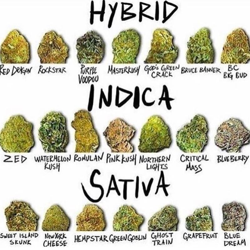 Wiwien Cannabis Weed Hemp Marijuanas Wiwien Cannabis Weed Hemp Marijuanas
