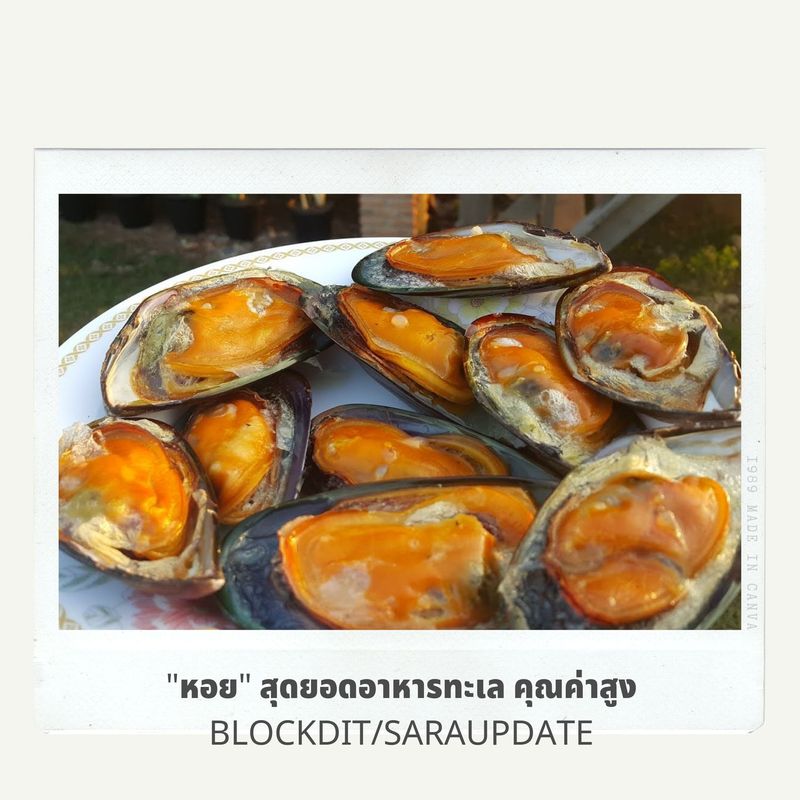 [SaraUpdate] หอย" และ คุณค่าทางโภชนาการ หอย (Shellfish) จัดเป็นอาหาร ...