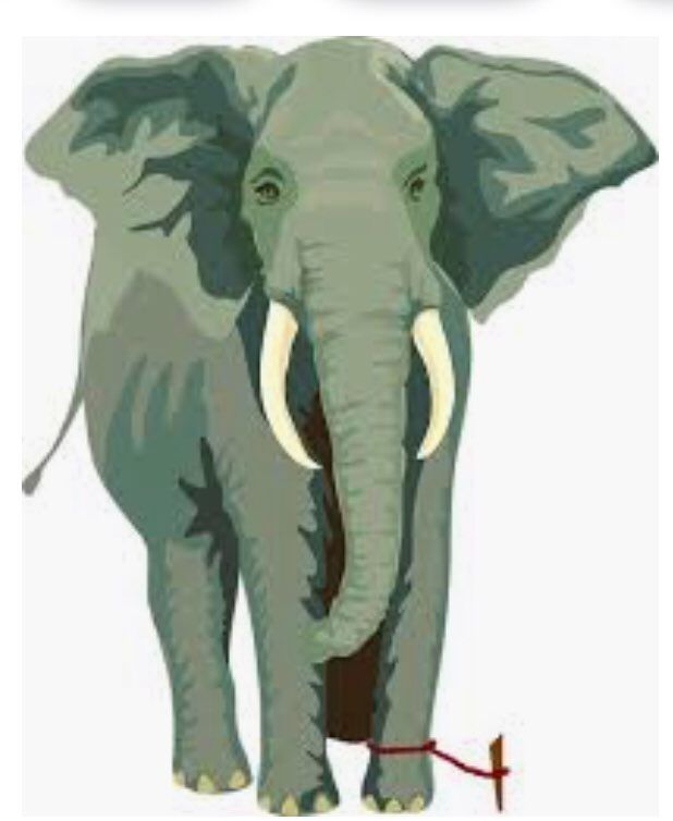 [C-Creator ] “ถัาคุณเชื่อว่ามันเป็นไปได้ ทุกอย่างก็เป็นไปได้ อย่าให้ใคร ...