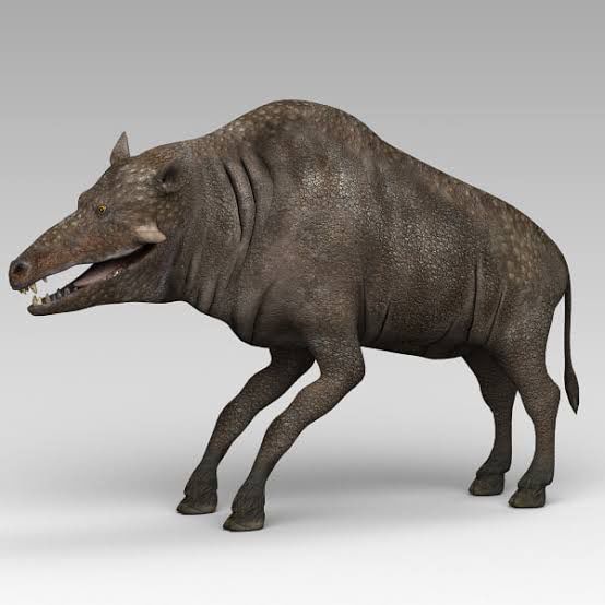 [Timeless History (ประวัติศาสตร์ไร้กาลเวลา)] “เอนเทโลดอนต์ (Entelodont ...