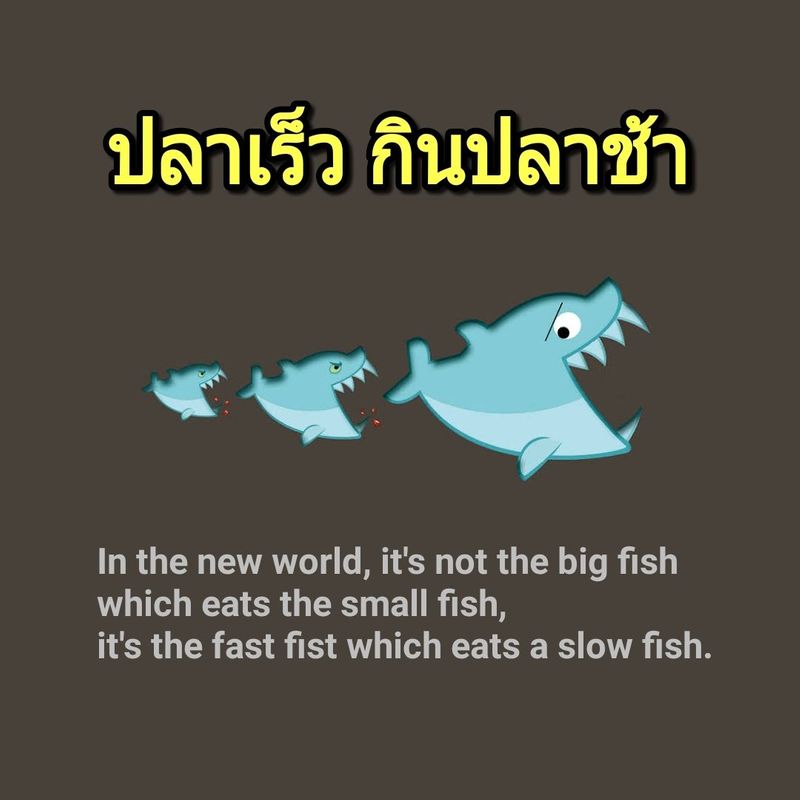 [War Expert] The fast fish eats the slow fish. ปลาเร็วกินปลาช้า การศึก ...