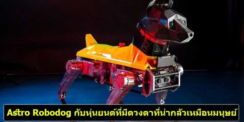 [ด.ดล Blog] Astro Robodog กับหุ่นยนต์ที่มีดวงตาที่น่ากลัวเหมือนมนุษย์ ...