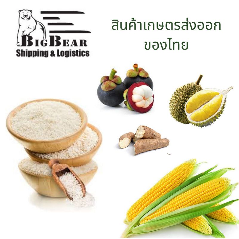 [BigBear Shipping & Logistics] ขึ้นชื่อว่าแนวหน้าแห่งวงการสินค้าเกษตรกรรม คงอดนึกไม่ได้ถึงประเทศ ...