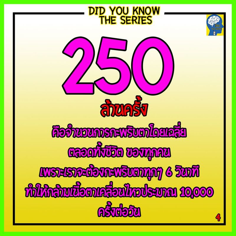 [Did you know] Did you know the series Ep.4 ถ้าเปรียบกับการทำงานของ ...