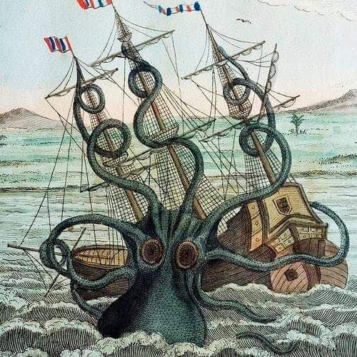 [คนรักสัตว์ ประหลาด Creatures Mania] ⚓ในมหาสมุทร ท่ามกลางเสียงคลื่นทะเล ...