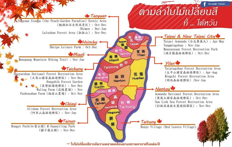 [Sawasdee Taiwan] 🍁🍁Autumn in Taiwan ตามล่า ... หาใบไม้เปลี่ยนสี ใครว่า ...