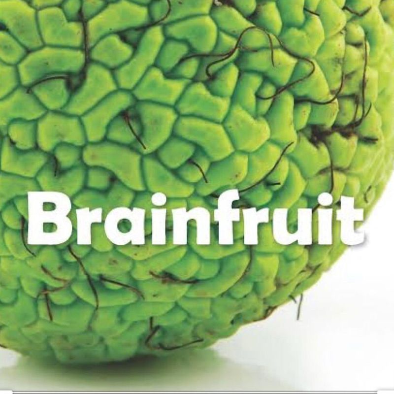 [Brainfruit] เมื่อคืนภรรยาถามกระผมว่า "คิดเห็นอย่างไรเรื่องการเรียกร้องของนักเรียน นักศึกษา ...