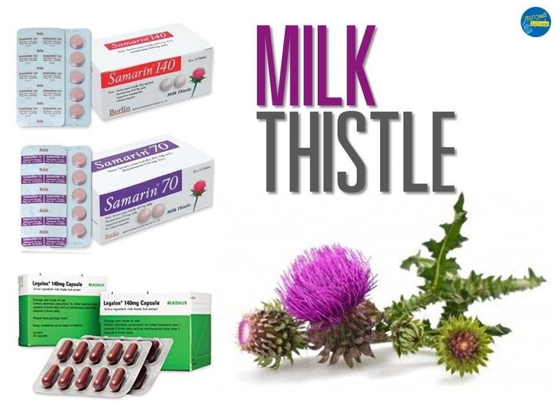 [สุขภาพดีไม่มีในขวด] Samarin หรือ Legalon (สารสกัดจาก Milk thistle) 🌺 ...