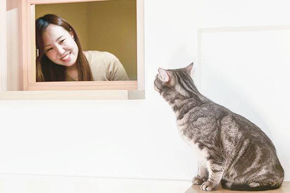 [แมว chic chic] ไปส่อง “Cat House” บ้านที่ออกแบบมาเพื่อคนกับแมวกันค่ะ ...
