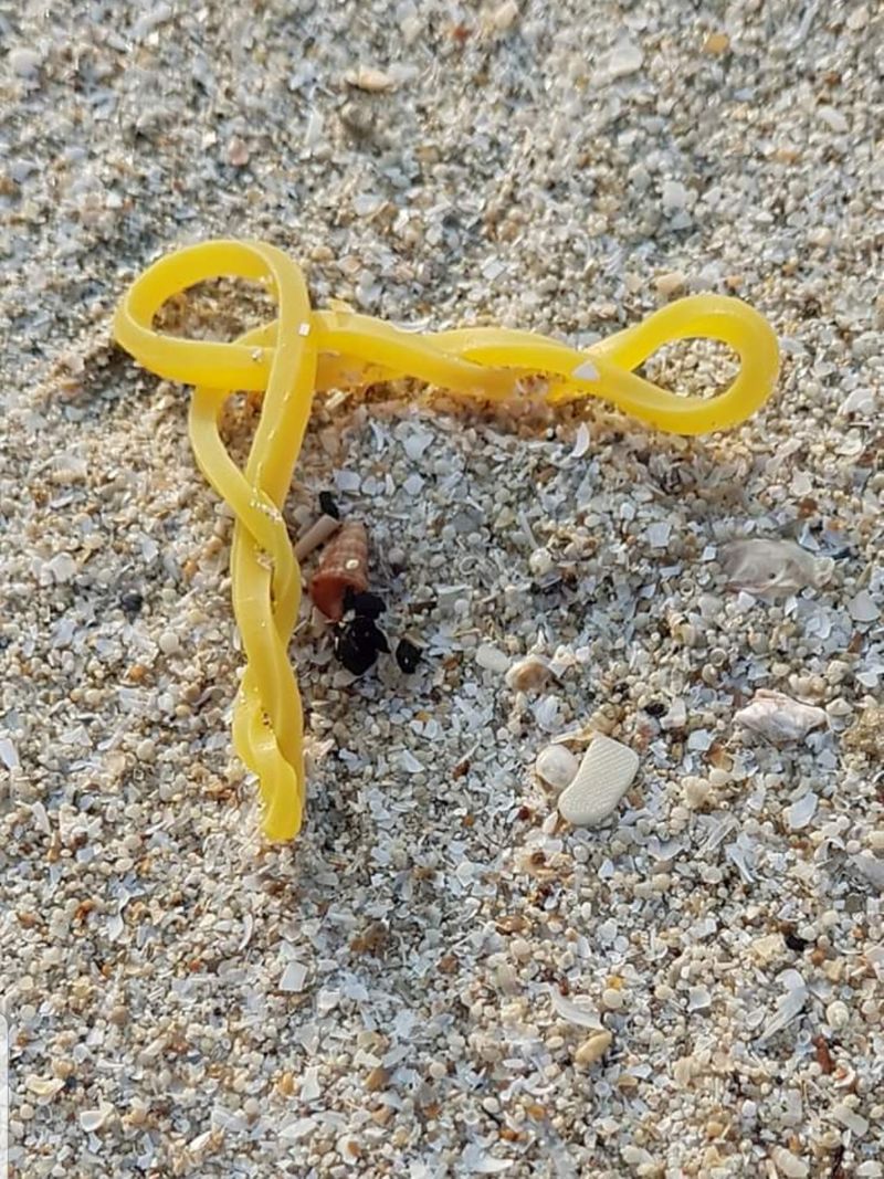 [wasana sk] ยางเส้นเล็กๆที่เห็นกันทั่วไป และใช้กันอย่างแพร่หลายนี้ทำจากยางพารา ซึ่งเมื่อหมดอายุ ...