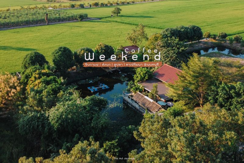 [เที่ยวไหน ยังไงเล่า] Weekend Coffe คาเฟ่สีเขียวใกล้กรุง . ร้านกาแฟ ...