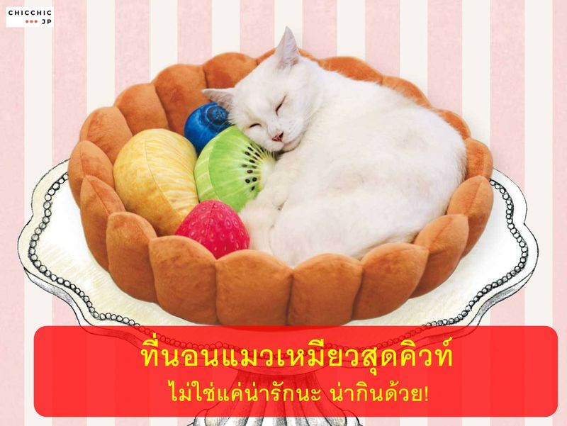 [chicchic-jp] ที่นอนแมวเหมียวสุดคิวท์ ไม่ใช่แค่น่ารักนะ น่ากินด้วย! 🐱🐱🐱 สินค้าแมวๆในญี่ปุ่นนั้น ...