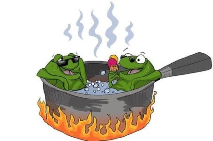 [1 Year Million] “ทฤษฎีกบต้ม” The Boiling Frog Theory เป็นทฤษฎีที่ ...