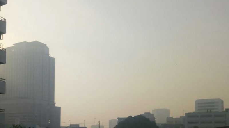 [นิยายข้าวฟ่าง_เฌอมาลย์] ท้องฟ้ายามสาย กับฝุ่นPM2.5 ต้องขอระบุวันเวลาหน่อยนะคะ เพราะในภาพนี่คือ ...