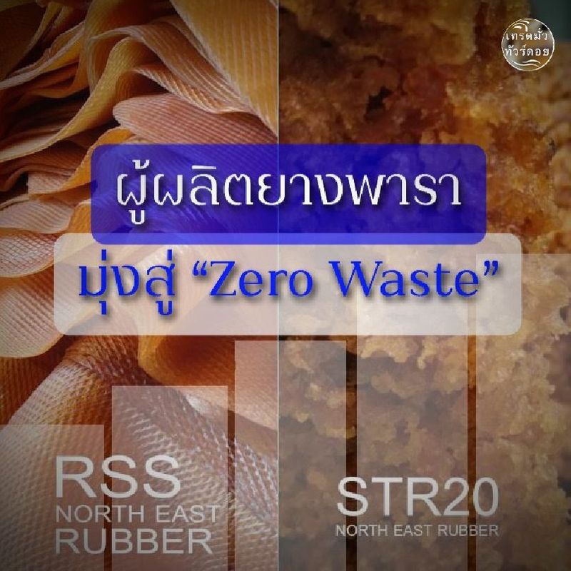 [เทรดมั่วทัวร์ดอย] ผู้ผลิตยางพารา มุ่งสู่ “Zero Waste” NER | นอร์ทอีส ...