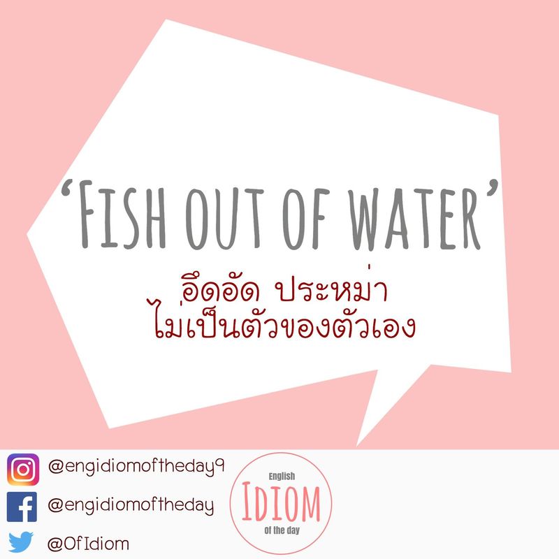 [English Idiom of the Day - สำนวนภาษาอังกฤษประจำวัน] 'fish out of water ...