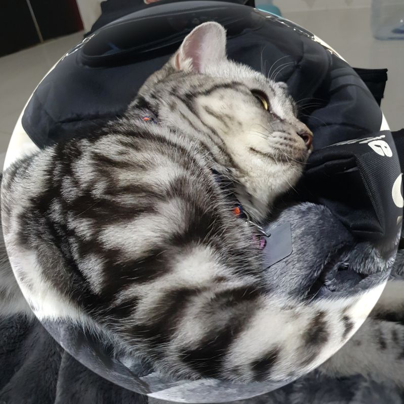 [ฮักนะ hugna]