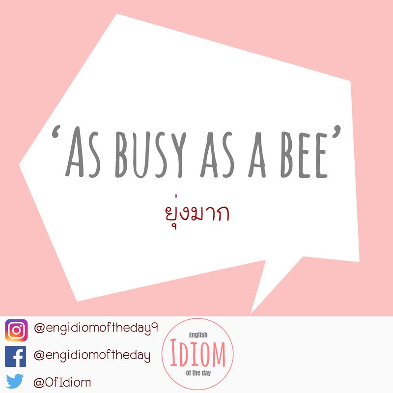[English Idiom of the Day - สำนวนภาษาอังกฤษประจำวัน] 'as busy as a bee ...