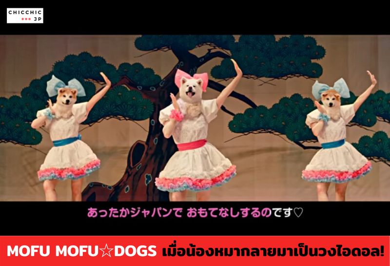 [chicchic-jp] MOFU MOFU☆DOGS เมื่อน้องหมากลายมาเป็นวงไอดอล! ใครกำลังเครียด กำลังเหนื่อยล้าจากงาน ...