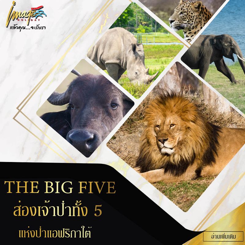 [อิมเมจ ฮอลิเดย์] THE BIG FIVE ส่องสัตว์ทั้ง 5 แห่งป่าแอฟริกาใต้ อ่าน ...