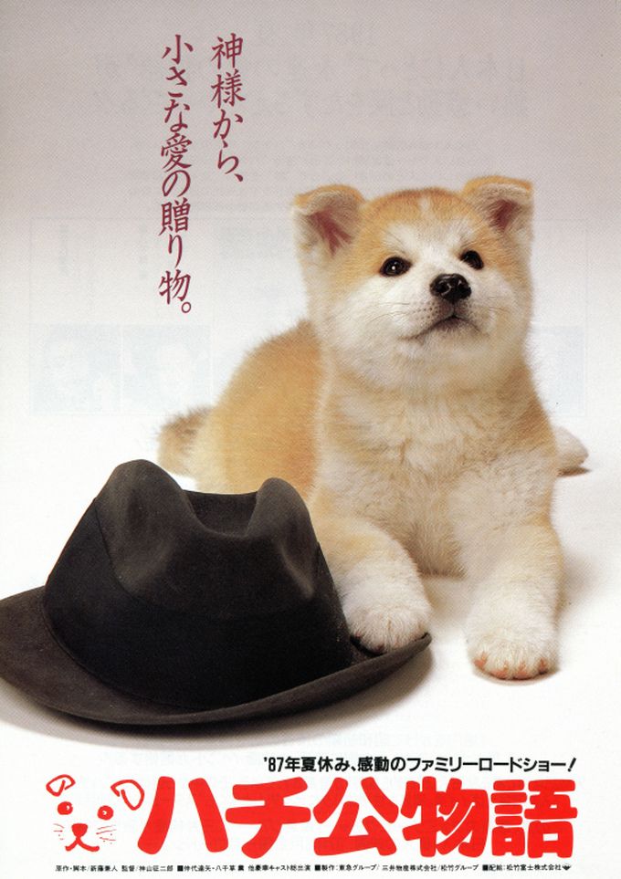 [chicchic-jp] Hachiko Monogatari ภาพยนตร์ญี่ปุ่นที่สร้างจากเรื่องจริงของเจ้าฮาจิ จากบทความที่ ...