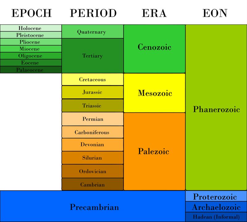 [165 ล้านปี] ถ้าบอกว่ามนุษย์เราแท้จริงเกิดในยุคเดียวกับไดโนเสาร์ ท่านจะ ...