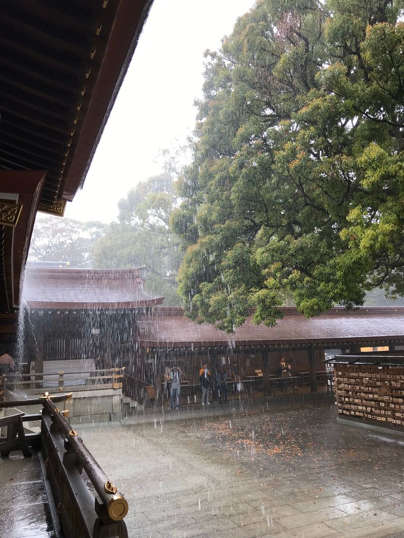 [🍁กาลและเวลา🌷Mamonaku🍜ยูอิจัง🌾🌿🐶🐱] Mamonaku..Next Station まもなく ...