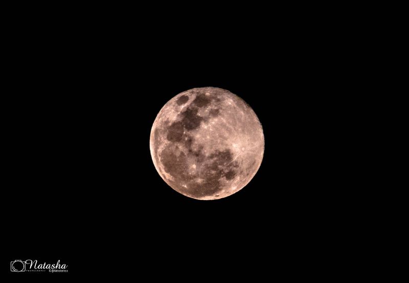 [In The Corner of This World] "Fly me to the moon Let me play among the ...