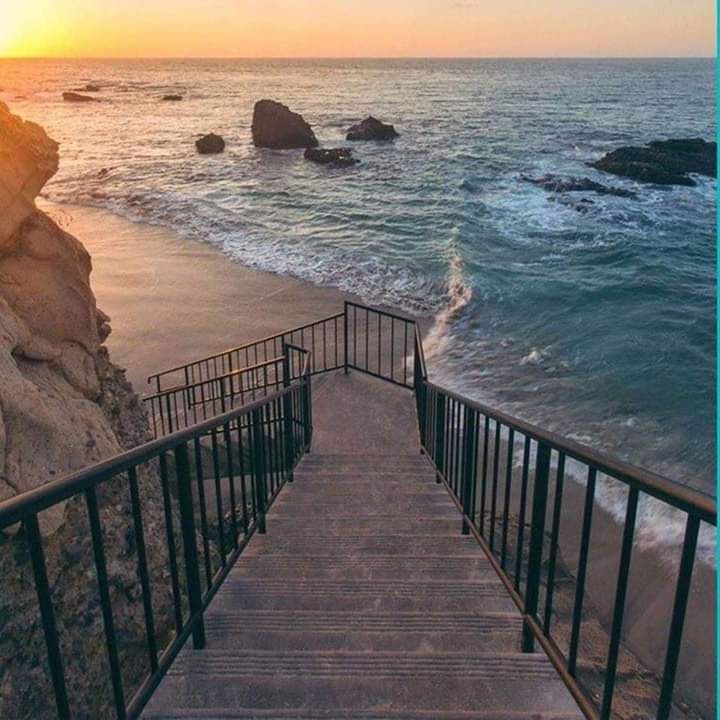 [Film shy] Ep. 1 ชีวิตของเราต้องเดินไปข้างหน้าใช่ไหมทุกคน.. การเดินไป ...