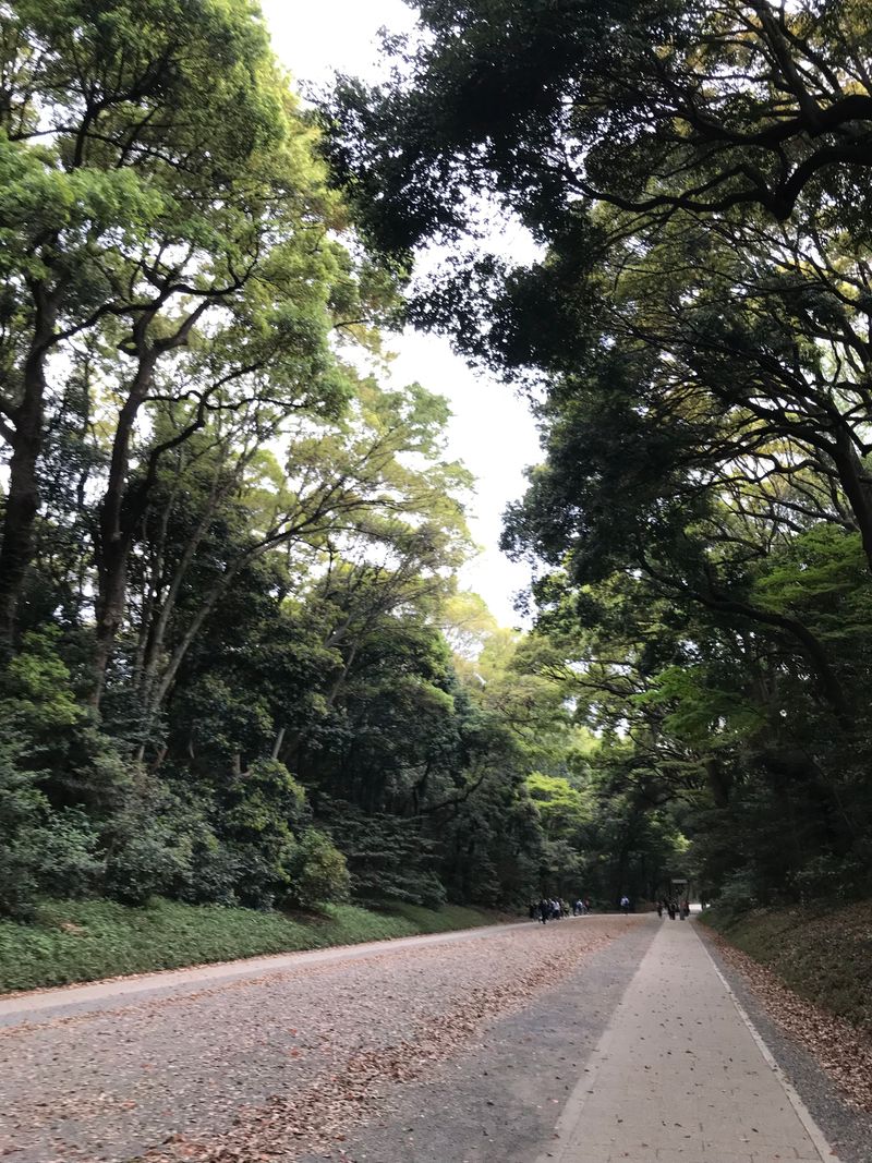 [🍁กาลและเวลา🌷Mamonaku🍜ยูอิจัง🌾🌿🐶🐱] ประโยคให้กำลังใจ..ภาษาญี่ปุ่น ️ ...