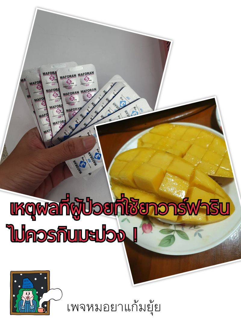 [หมอยาแก้มยุ้ย Moreyakamyui] มะม่วงกับยาวาร์ฟาริน ว่าด้วยเรื่องฤดู ...
