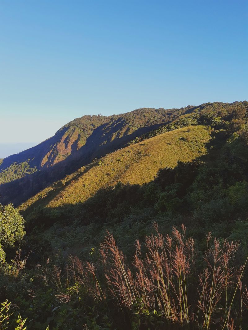 [Kunaeng (กันเอง) ] ชิว ชิว 🌵 หลังจบโควิด คุณอยากไปเที่ยวที่ไหน