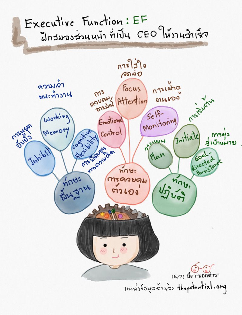 [สี่ตา-นอกตำรา] มารู้จัก...ระบบปฏิบัติการทางสมอง (Executive Function ...