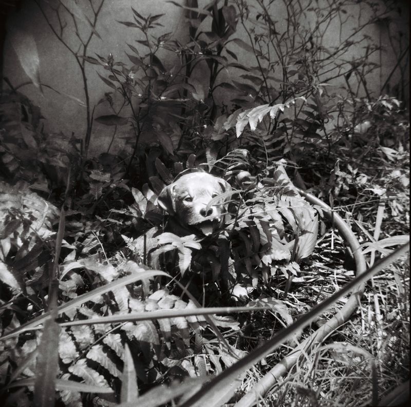 [The Deep Photo] ไม่เคยคิดว่าวันนึงจะรักการถ่ายรูปมากขนาดนี้ “ในวันที่ ...