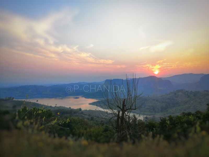 [@P-Chanida] 🌿Nature🌿 ธรรมชาติ🌿.. มีอยู่รอบตัวเรา.. เพียงแค่เราไม่มอง ...