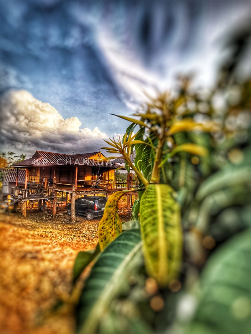 [@P-Chanida] #Home🍁 🔯บ้าน.. ณ สถานการณ์ตอนนี้.. หลายๆคนคงเริ่มชินกับการ ...