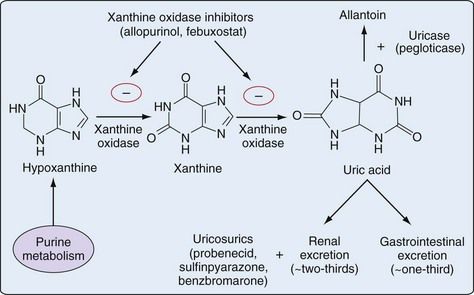 [เมื่อฉันดันเป็นเภสัชที่กลัวยา] ตอนที่ 3 : Gout กับยา "Allopurinol" ยัง ...