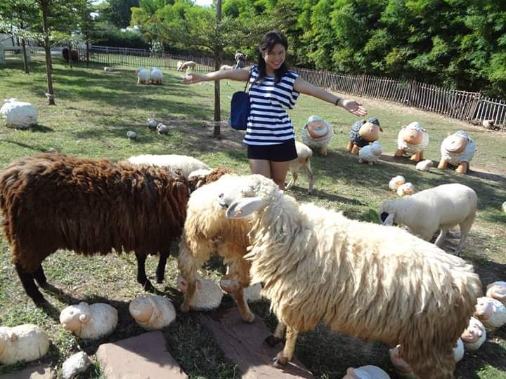 [Guide Talk] "Sheep Land Farm" เขาใหญ่ สถานที่ท่องเที่ยวในตำนาน(ของไกด์ ...