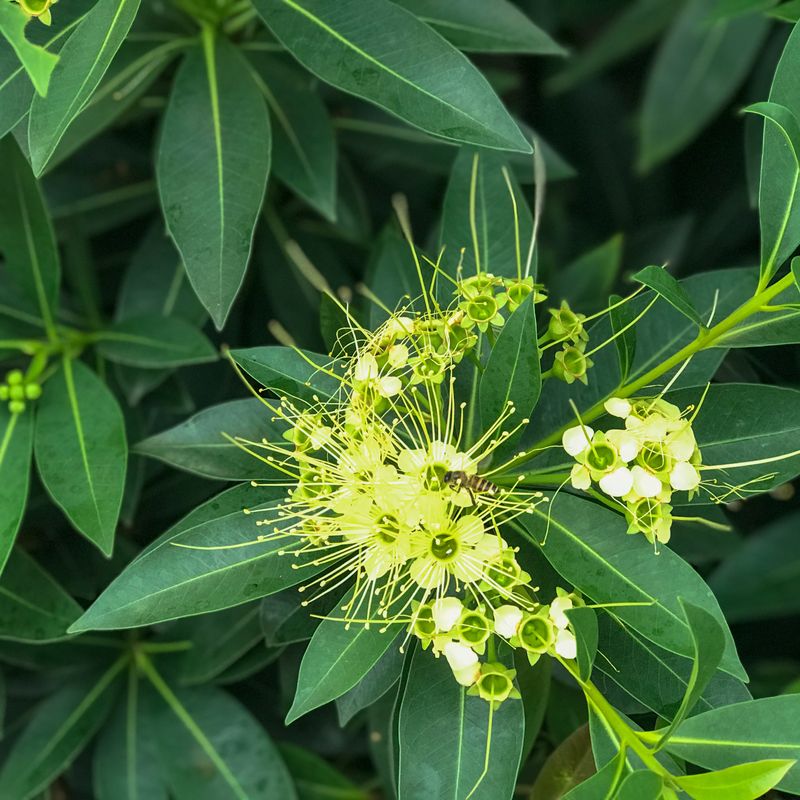 [🍁กาลและเวลา🌷Mamonaku🍜ยูอิจัง🌾🌿🐶🐱] ขอมอบเพลงนี้แด่พ่อ... แด่แฟนคลับทุก ...