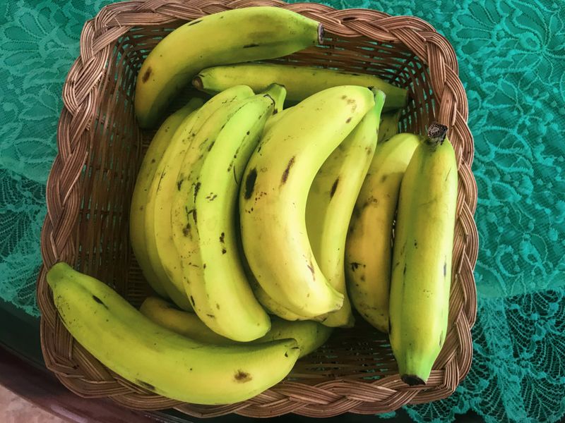 [🍁กาลและเวลา🌷Mamonaku🍜ยูอิจัง🌾🌿🐶🐱] จริงใจต่อความรู้สึกตัวเอง... ไม่ว่า ...