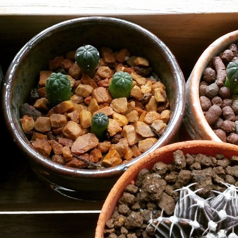 [Happy Tanapat] "มาถึงทุกวันนี้ พวกคุณๆยังยินดีที่จะเสียภาษีอยู่หรือ ...