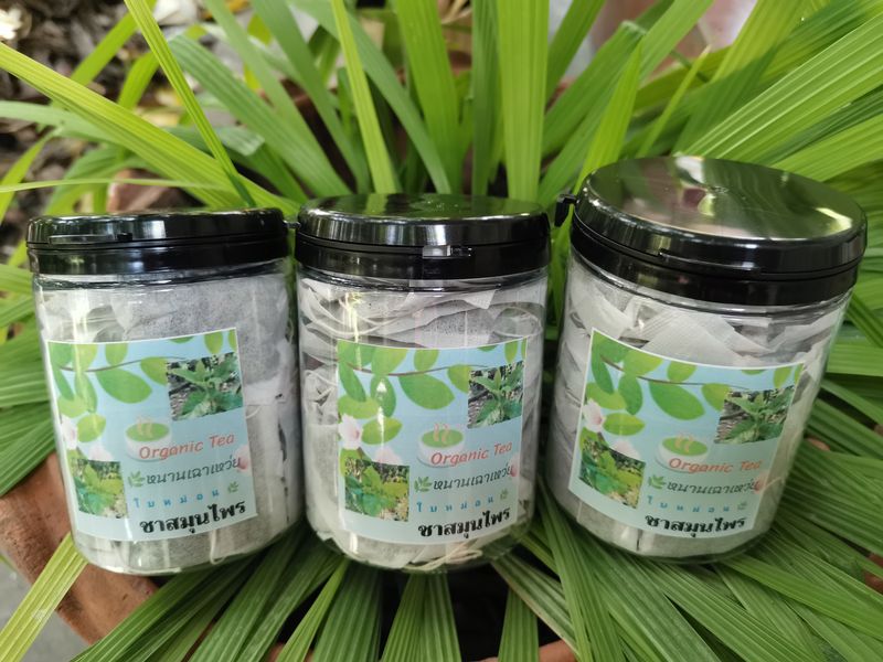 [@P-Chanida] …สมุนไพรในรั้วบ้าน…ภูมิปัญญาไทย เชื่อ…หมอสิ…หมอเรียนมา…แต่ ...