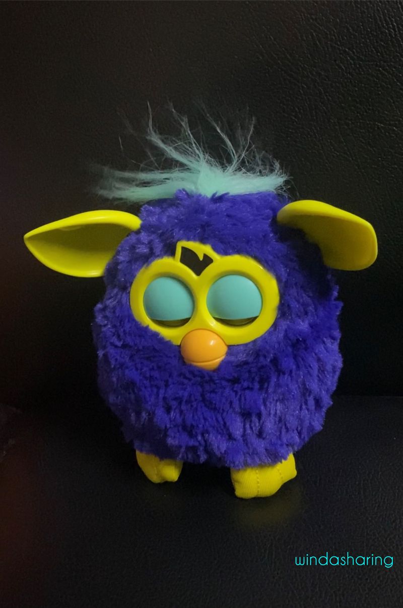 [Winda🦋เพจ windasharing] คืนนี้ลากันไปด้วยภาพน้องอัญชันหลับปุ๋ยไปแล้วนะคะ คงเป็นขวัญใจใครหลายคน ...