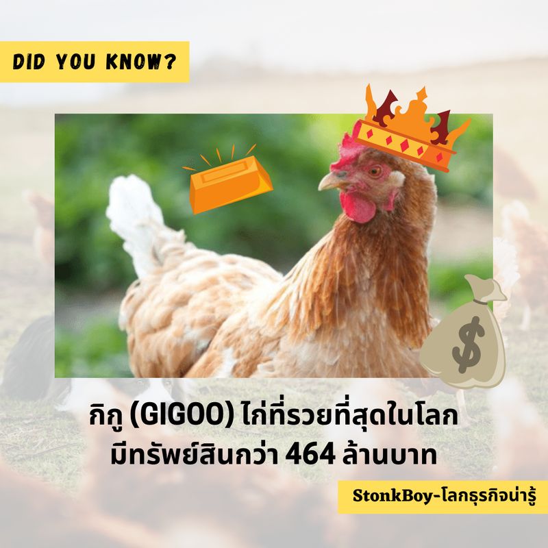 [StonkBoy - โลกธุรกิจน่ารู้] กิกู (Gigoo) ไก่ที่รวยที่สุดในโลก 🐔🐥😅 ในปี ...