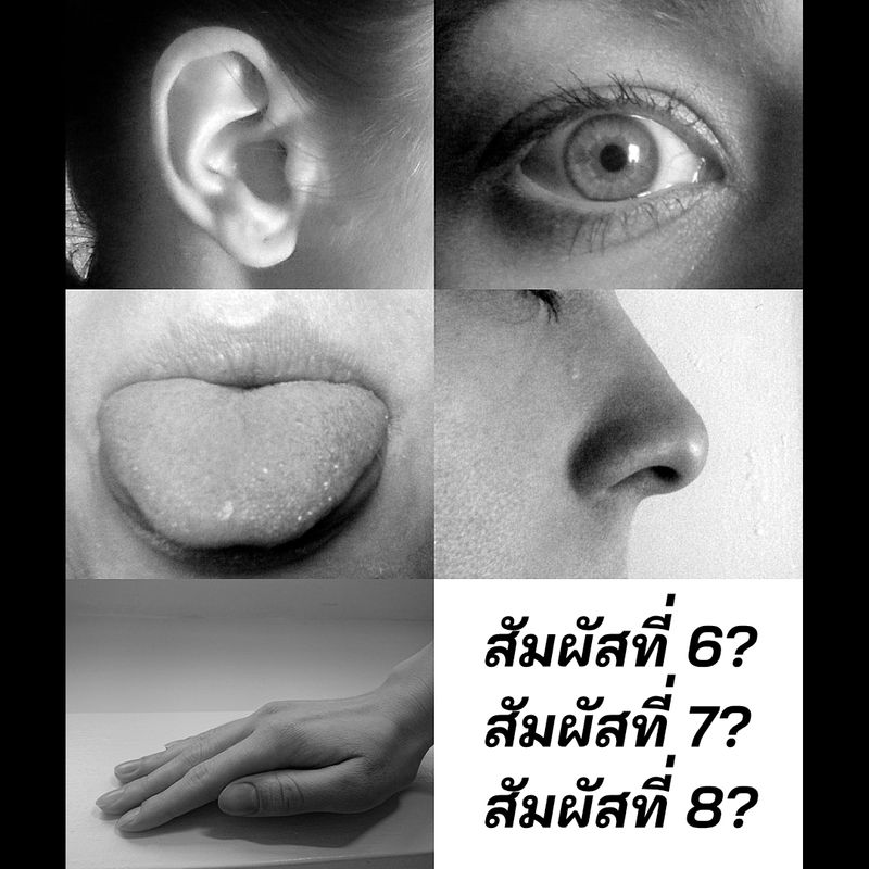 [oxymoron Diary] เรามักจะพูดถึงประสาทสัมผัสอยู่ 5 อย่าง คือ รูป รส