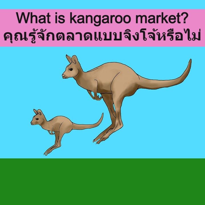 [Stock In Trend - หุ้นอินเทรนด์] What is kangaroo market? - คุณรู้จัก ...