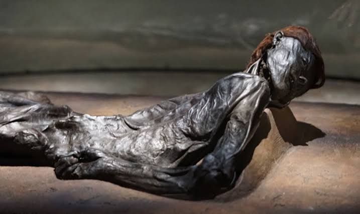 [Timeless History (ประวัติศาสตร์ไร้กาลเวลา)] “The Grauballe Man” ศพใน ...